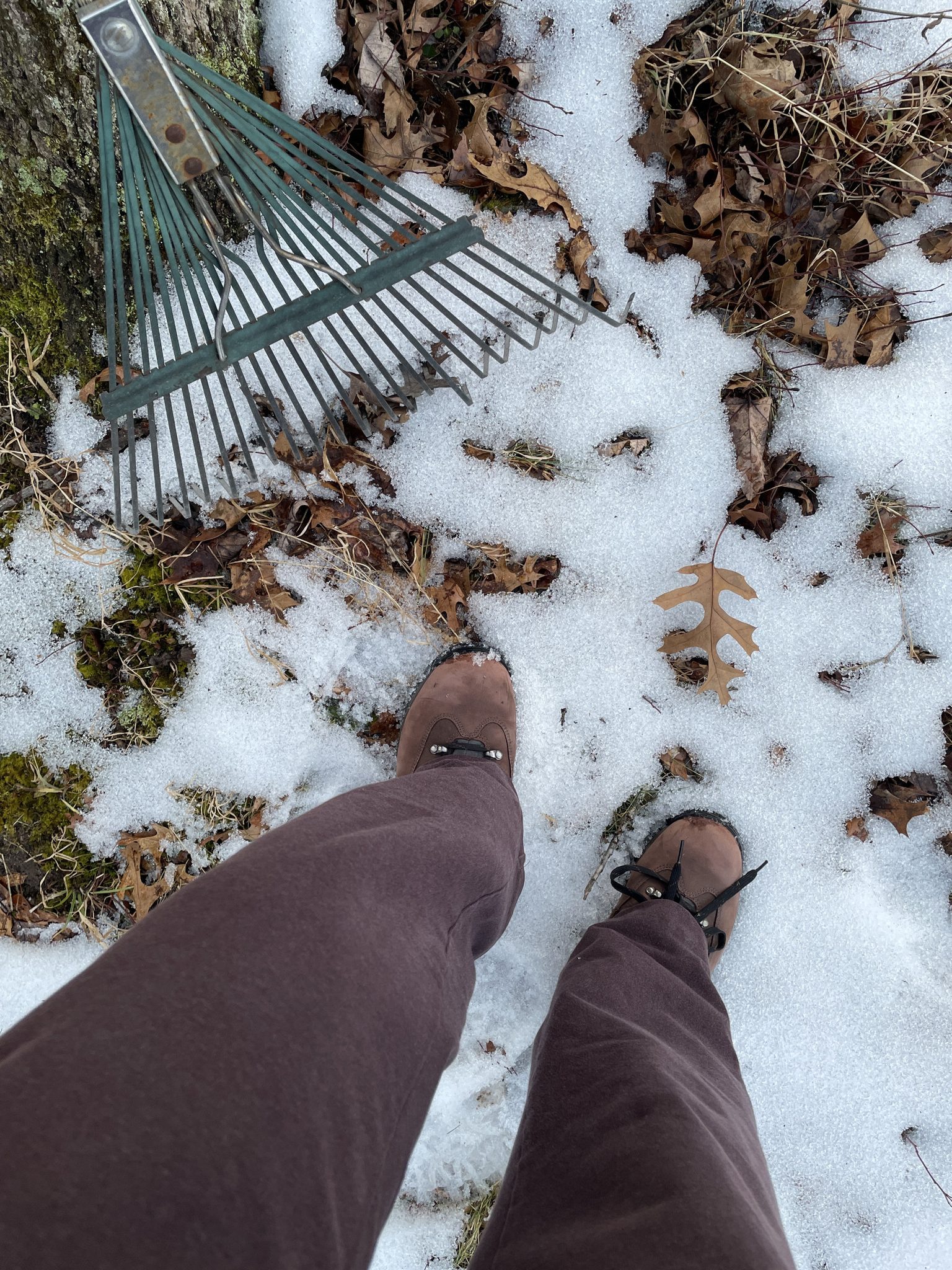 Spring Thaw